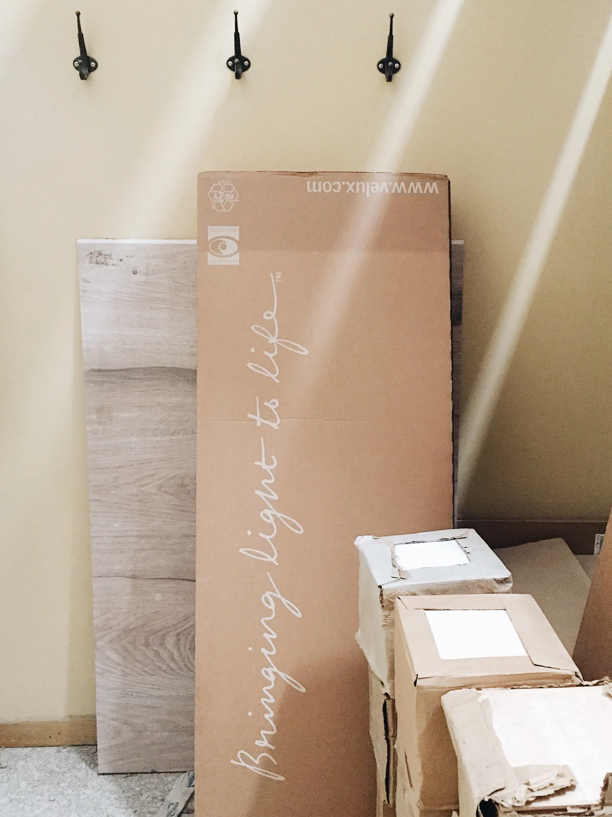 Packaging in cartone sostenibile e senza plastica: cosa stiamo facendo